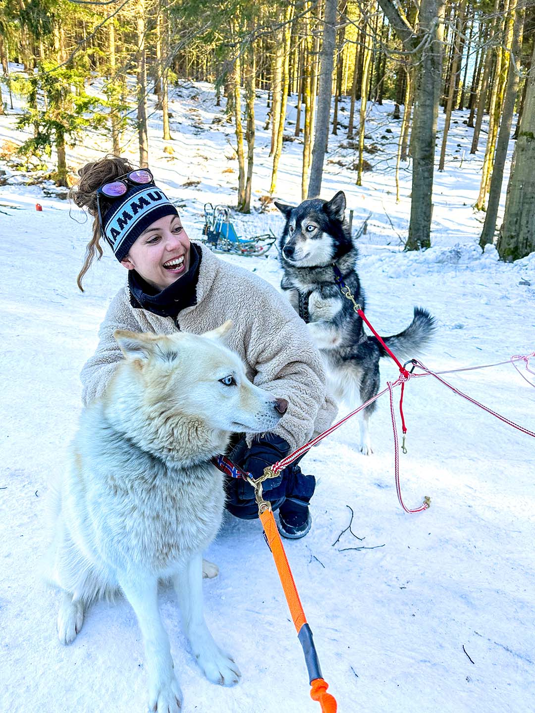 Marlene mit Huskys – marlenesleben